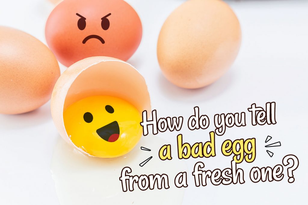 Egg Size Comparison | Bakery Basic Knowledge | My Weekend Plan