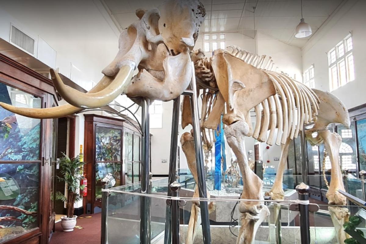 Top 8 Best Places To Visit in Taiping - Updated 2025 | Best Sights