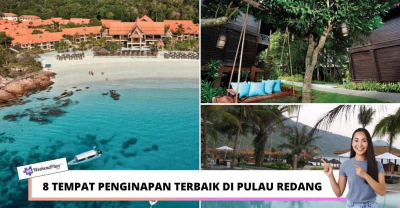 8 Tempat Penginapan Terbaik di Pulau Redang 2026 | Best