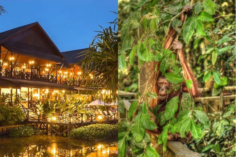 Top 8 Best Family Activities in Sabah 2025 | Amazing Attractions