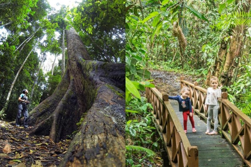 Top 8 Best Family Activities in Sabah 2023 | Amazing Attractions