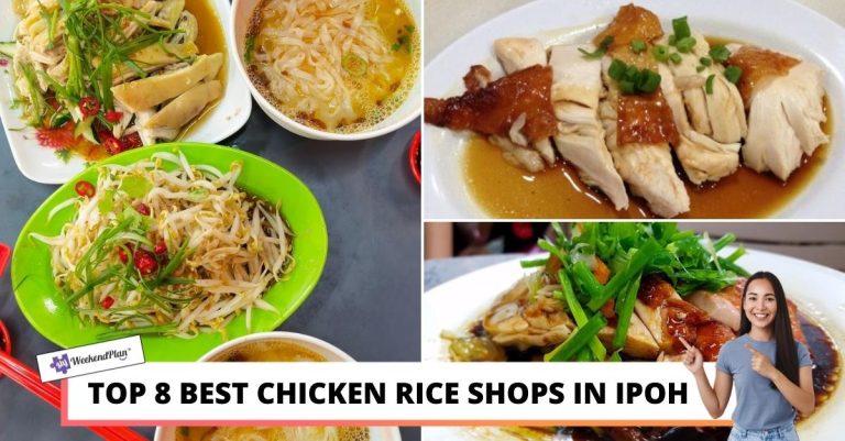 Top 8 Best Chicken Rice Shops in Ipoh 2024 | Taste of Ipoh