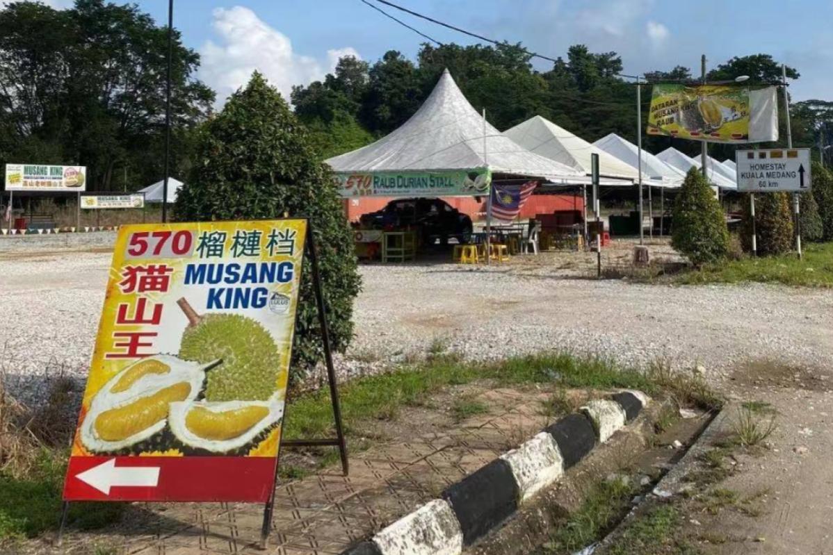 Top 8 Best Things to Do in Raub, Pahang 2023 | Time For Travel