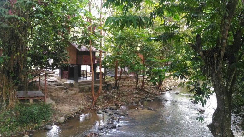 8 Best Things To Do in Janda Baik 2025 | A Weekend Staycation