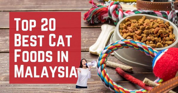 Top 20 Best Cat Foods in Malaysia 2025 | For Your Feline Friend