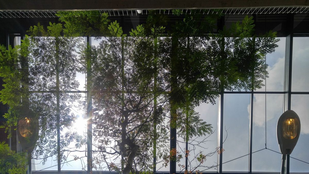 Top 10 Best Nature-themed Cafes in KL & Selangor 2026 | Eco-friendly