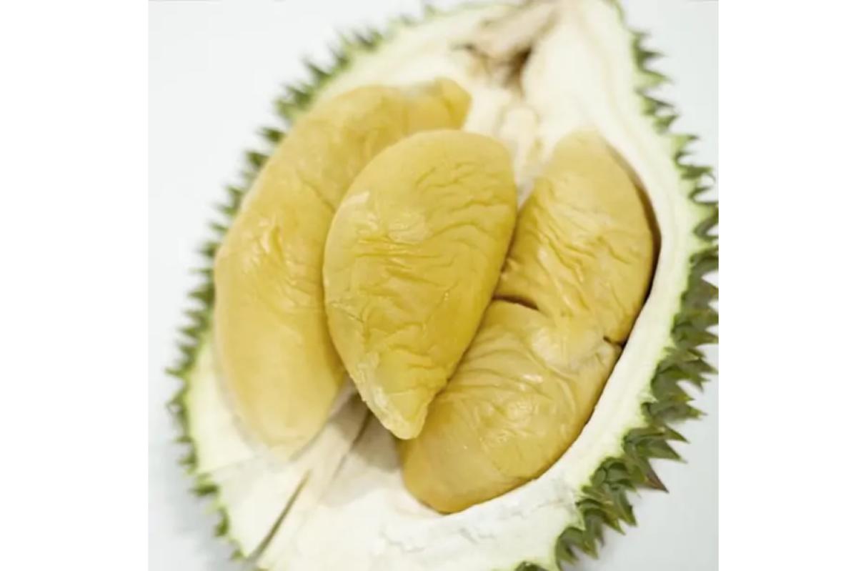 Top 8 Best Types of Durian in Malaysia 2025