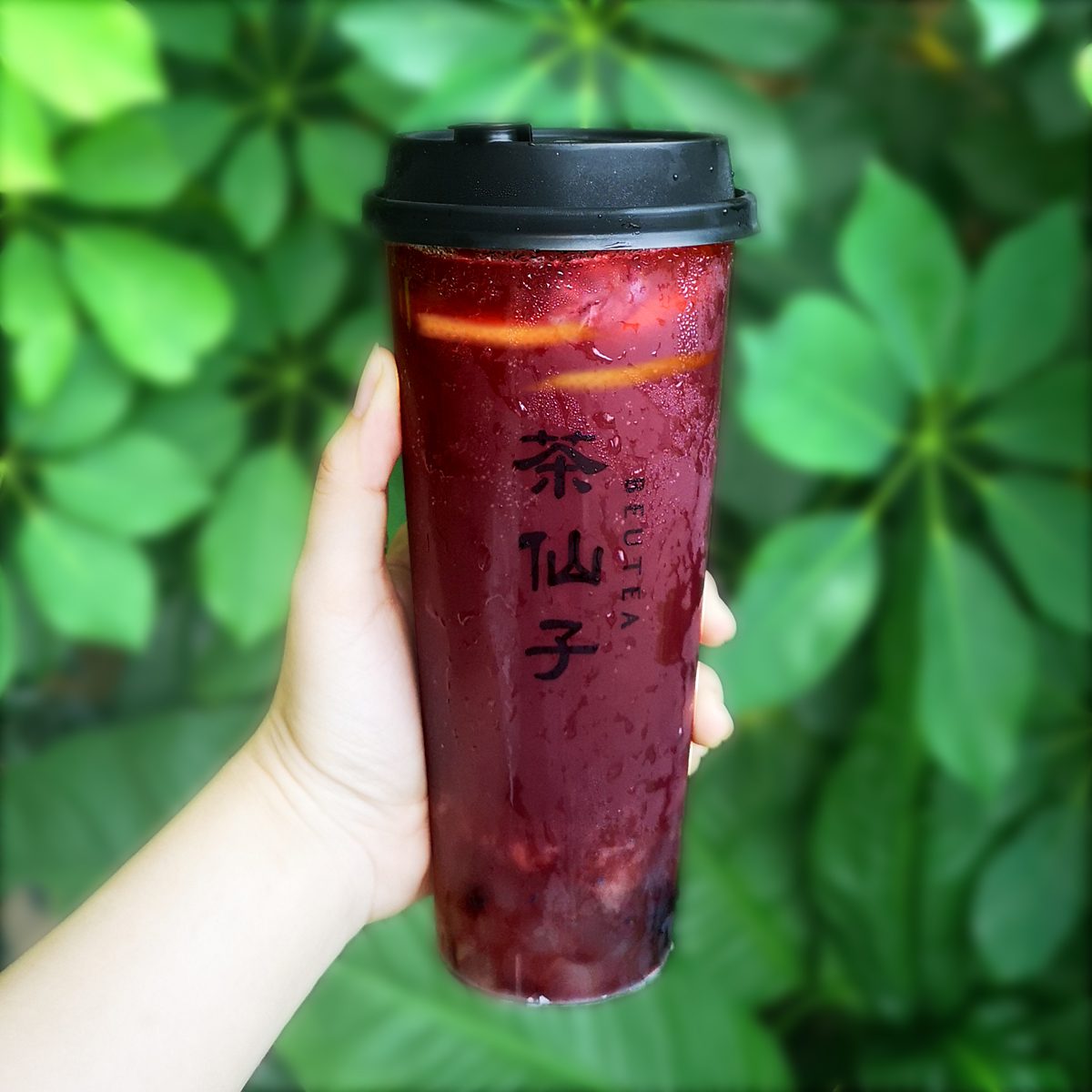 好喝又平价的茶仙子Beutea ! 这6款茶超好喝！