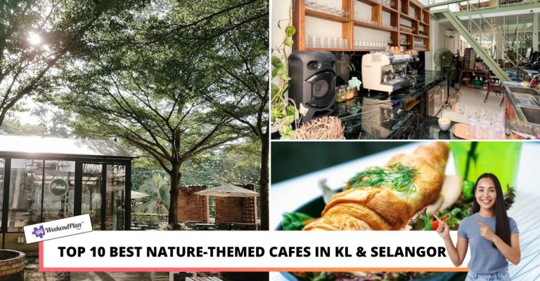 Top 10 Best Nature-themed Cafes in KL & Selangor 2026 | Eco-friendly