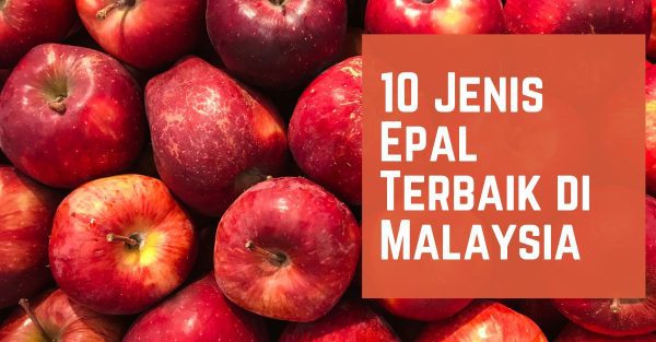 10 Jenama Minyak Masak Terbaik di Malaysia 2023 | Berkhasiat