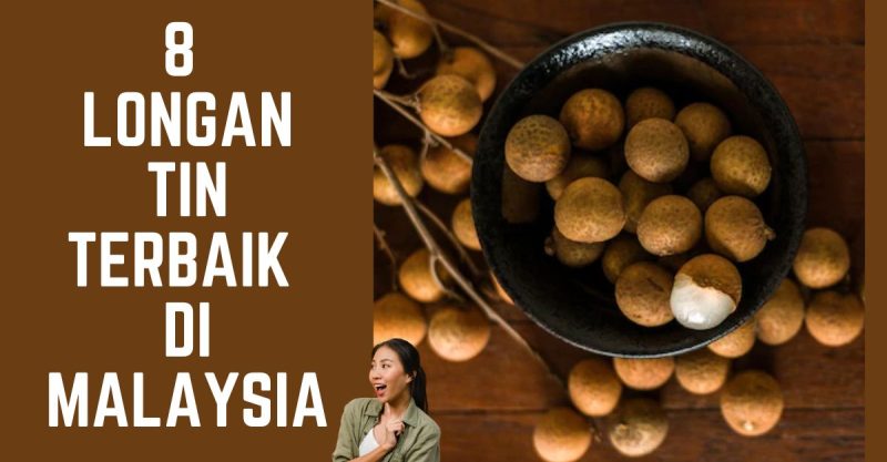 8 Longan Tin Terbaik di Malaysia 2026 | Sedap