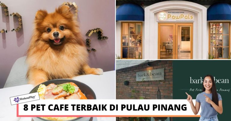 8 Pet Cafe Terbaik di Pulau Pinang 2023 | Viral