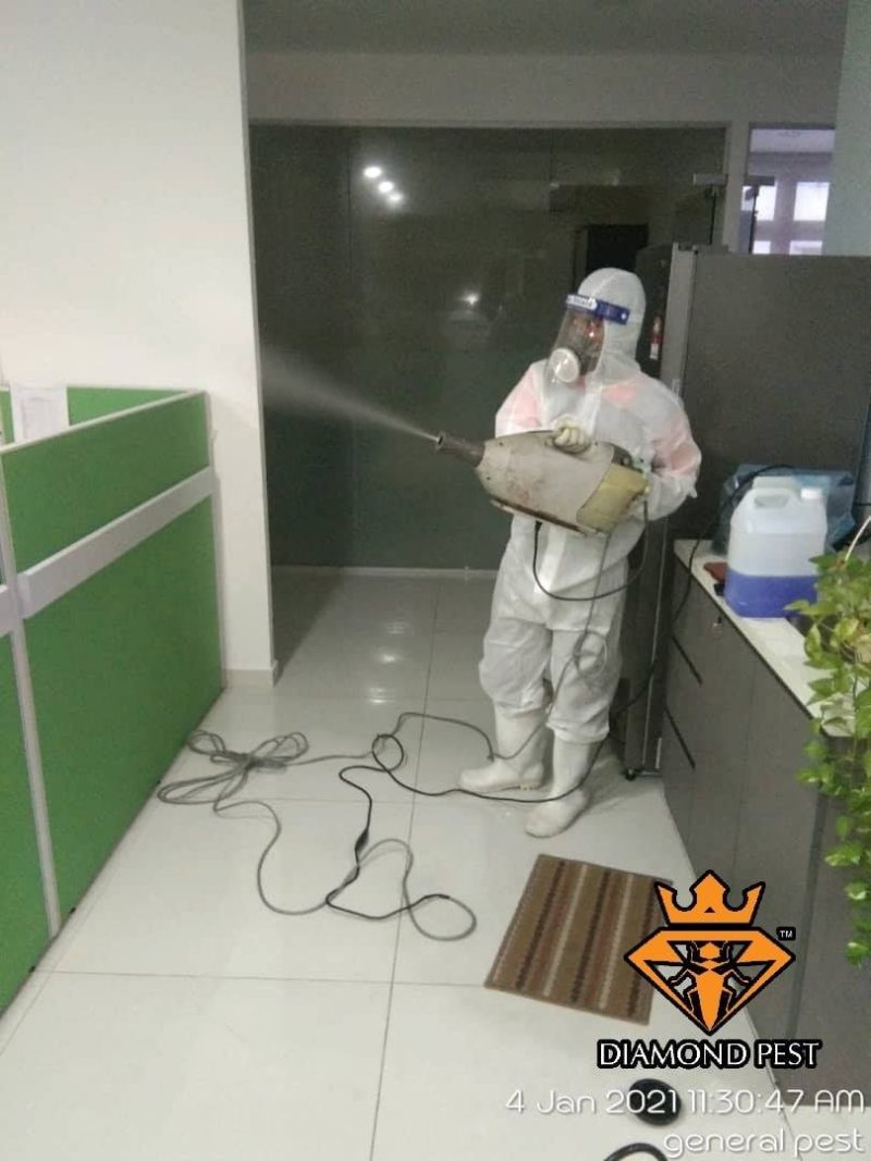 10 Best Pest Control Services in Johor Bahru 2026 | Top Choices