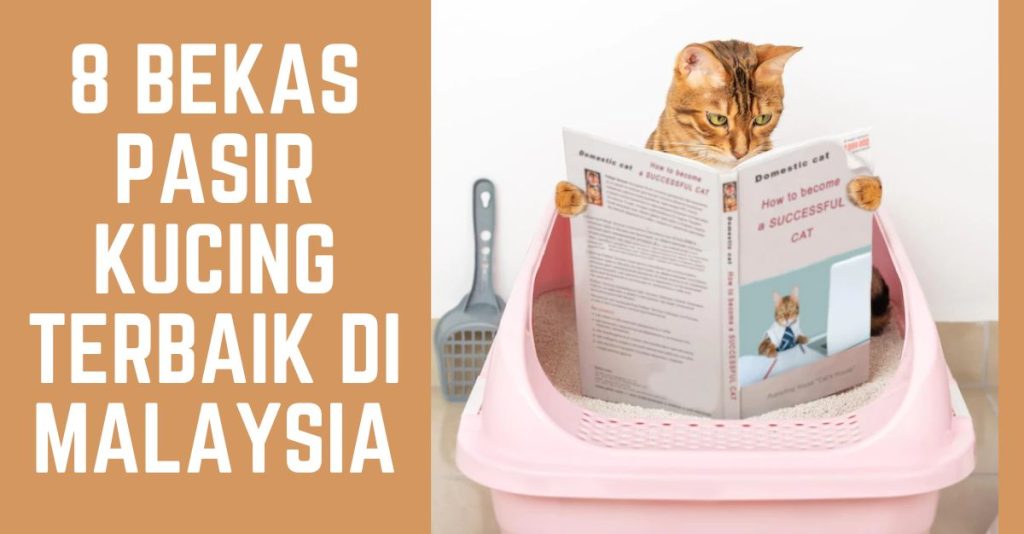 8 Bekas Pasir Kucing Terbaik di Malaysia 2025 | Tahan lasak