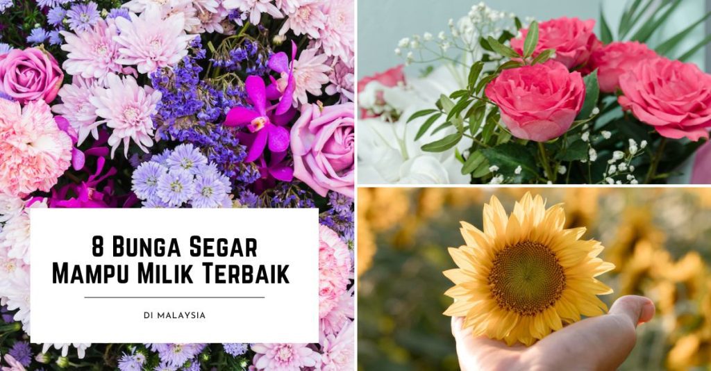 8 Bunga Segar Mampu Milik Terbaik di Malaysia 2023 | Tahan lama & Cantik!