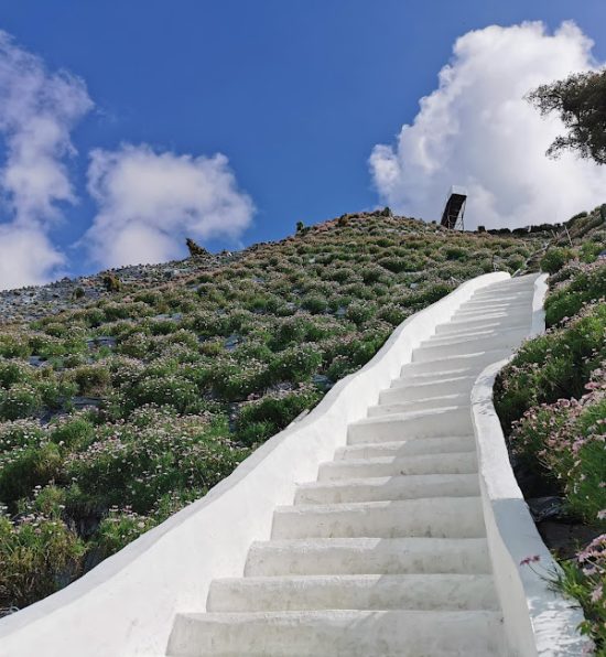 10 Perkara Menarik Boleh Dilakukan Di Cameron Highlands 2025 | Menarik ...