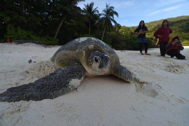 Top 10 Best Things To Do in Redang Island 2026 | Fantastic Sights