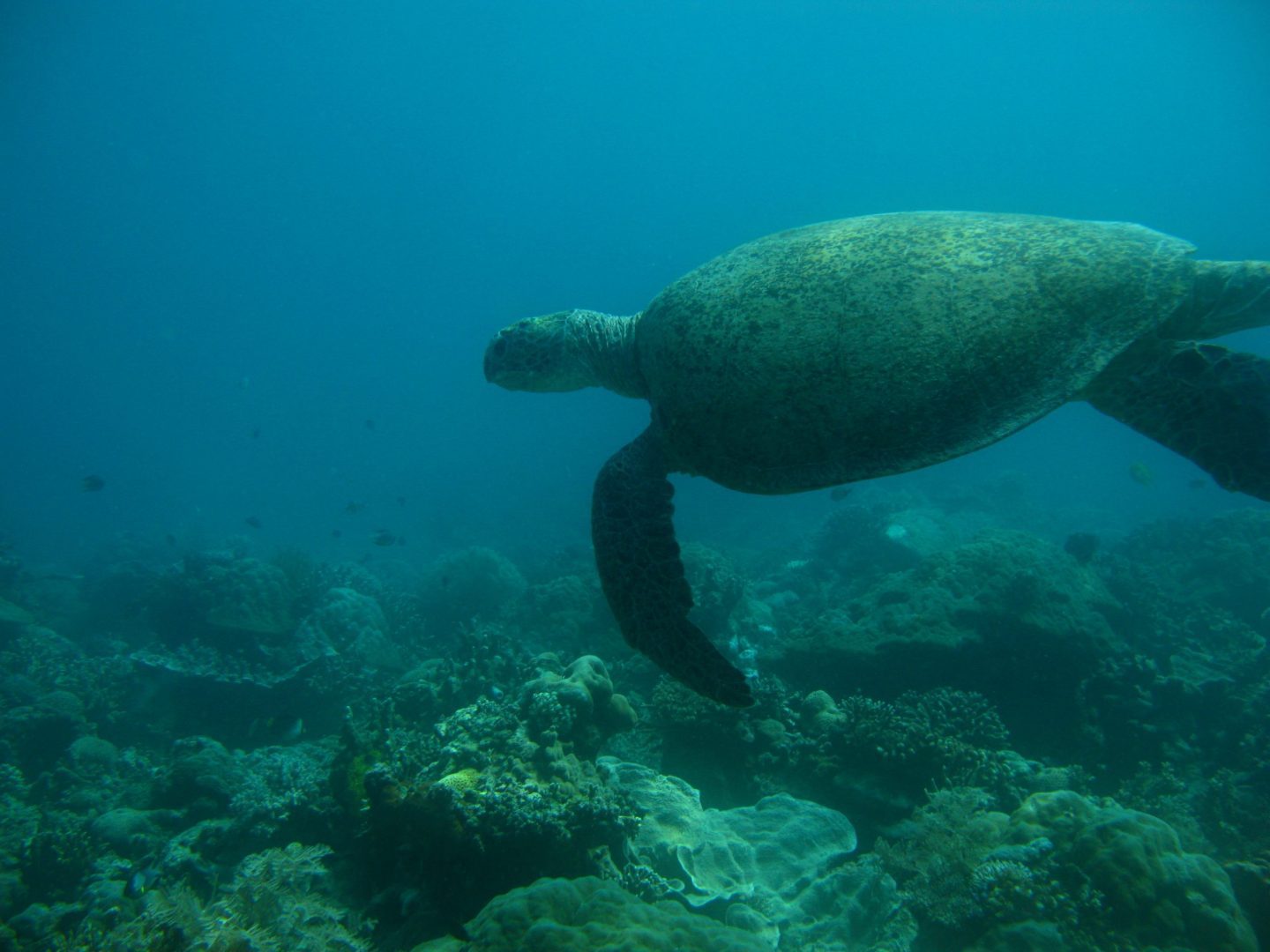 Top 10 Best Things To Do in Redang Island 2026 | Fantastic Sights