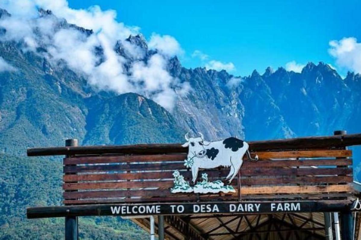 Top 30 Best Things To Do in Sabah 2026 | Travelling Paradise