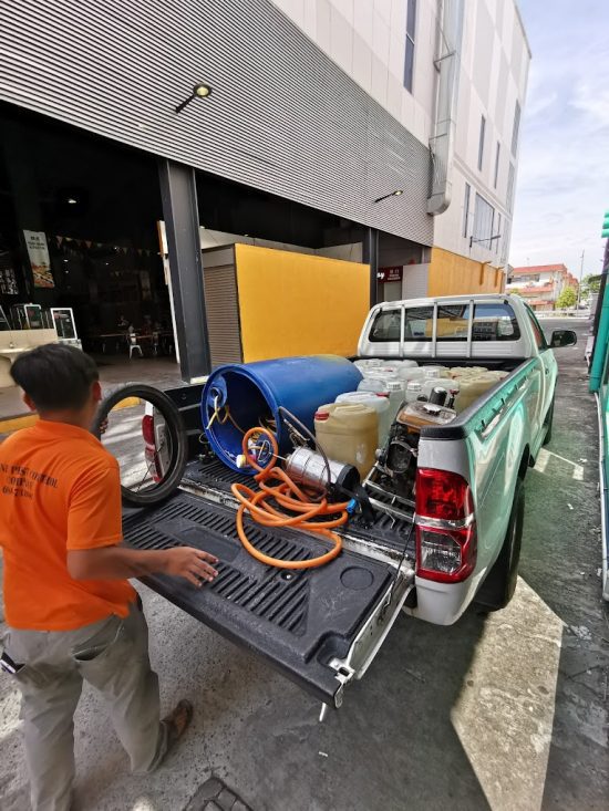 Top 10 Best Pest Control Services in Kota Kinabalu 2026 | Recommended