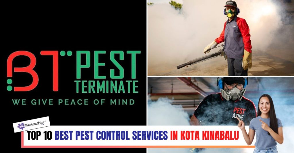 Top 10 Best Pest Control Services in Kota Kinabalu 2025 | Recommended