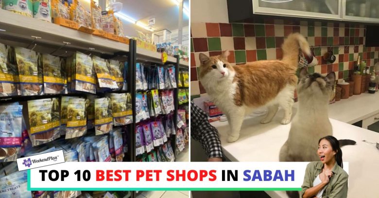 Top 10 Best Pet Shops In Sabah 2026 | Recommended
