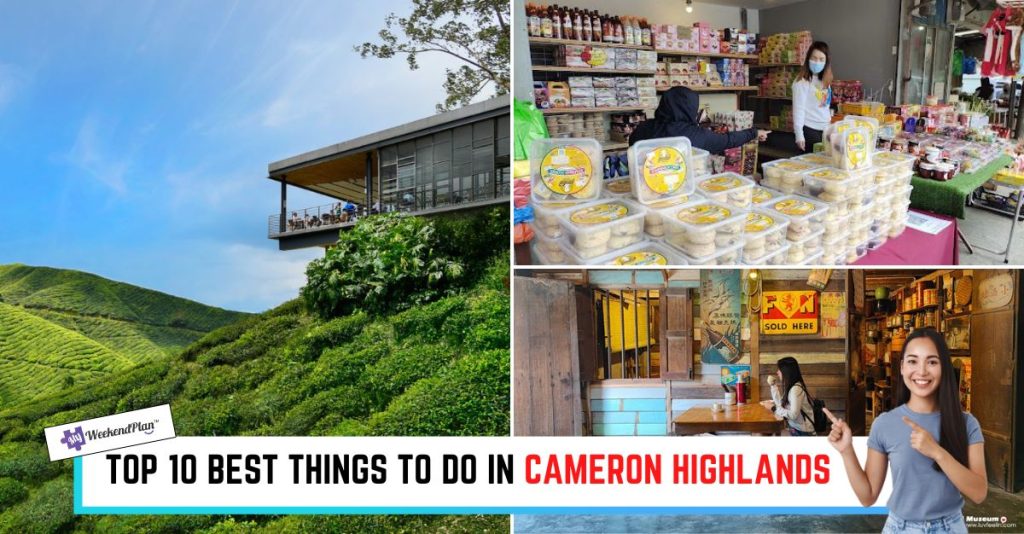 10 Best Things To Do in Cameron Highlands 2026 | Top Picks