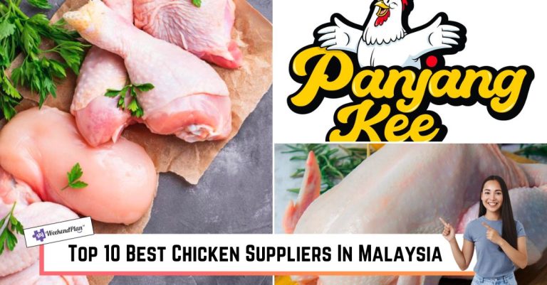 Top 10 Best Chicken Suppliers In Malaysia 2023 | Recommended