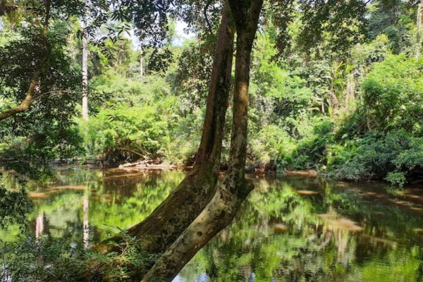 10 Best Things to Do in Pahang 2025 | Amazing Sights & Sounds