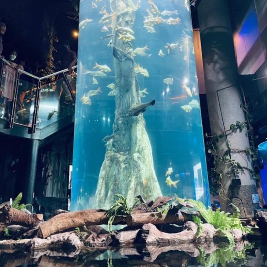 10 Best Things To Do Near KLCC 2025 | An Amazing Getaway