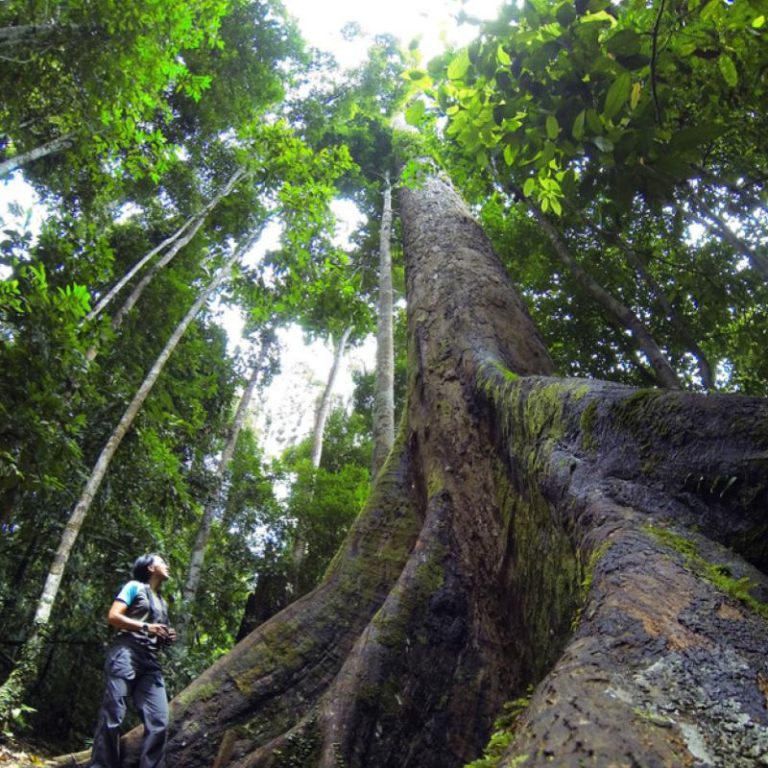 10 Best Things To Do In Tawau 2025 | Relax & Unwind