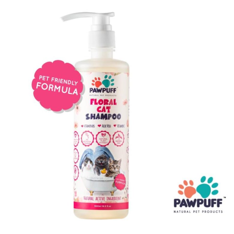 Top 10 Best Shampoos for Cats in Malaysia 2025 | For All Fur Types