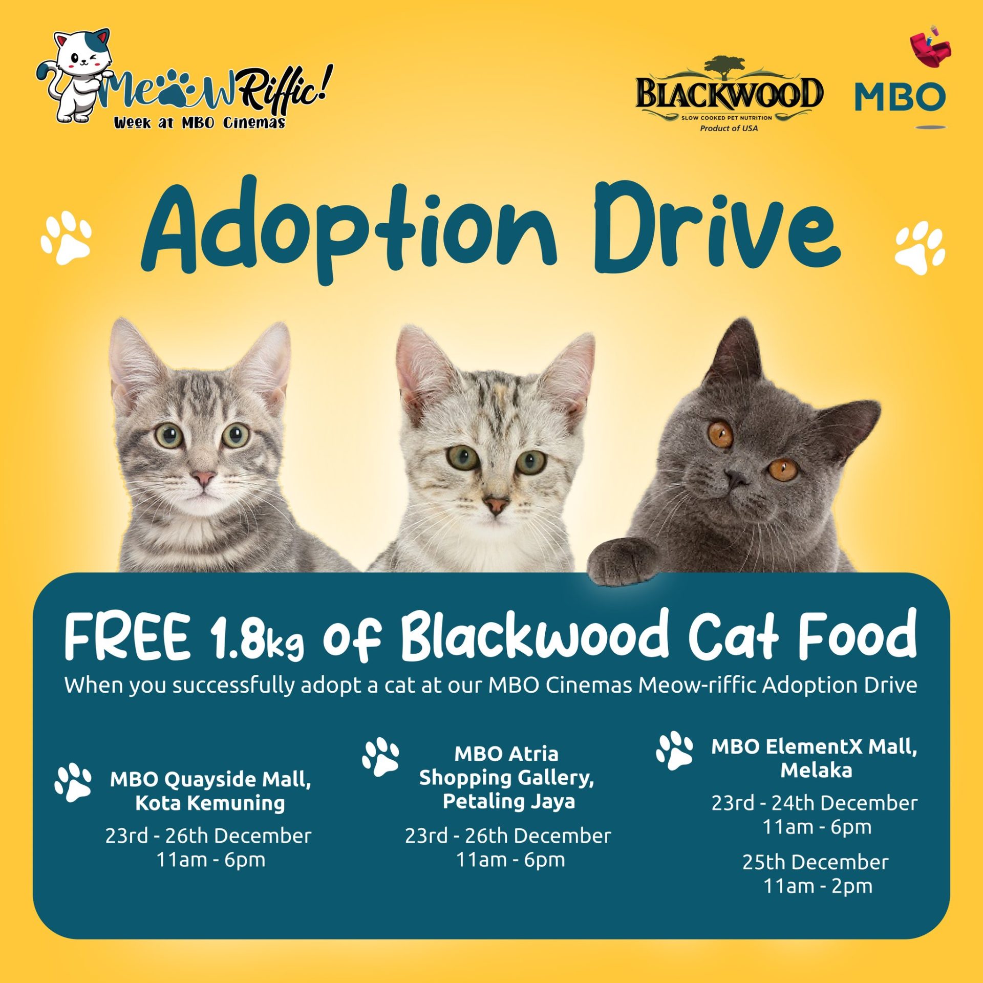 Adopt Cats at MBO Cinemas Meow-Riffic