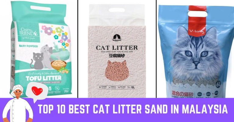 Top 10 Best Cat Litter Sand In Malaysia 2025 | Updated List
