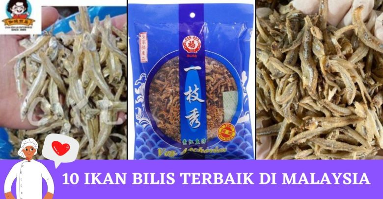 10 Ikan Bilis Terbaik di Malaysia 2026
