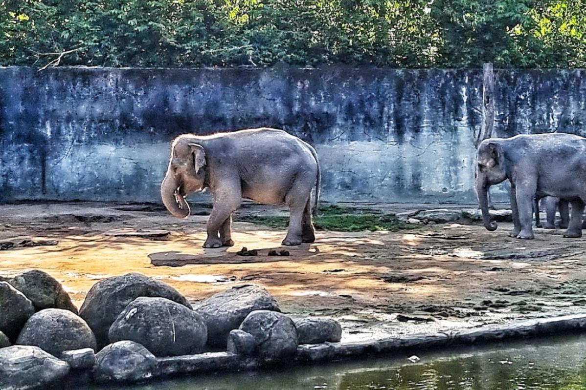 10 Best Things To Do in Taiping 2025 | A Town Rich in History