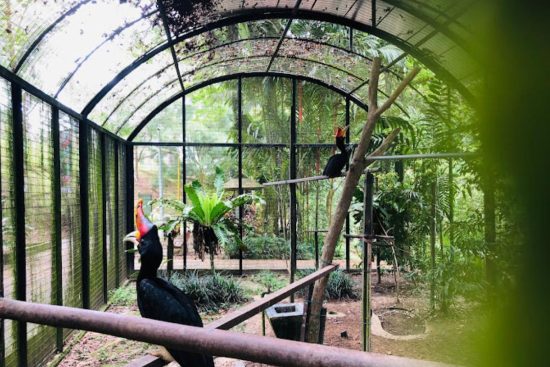 10 Best Things To Do in Bintulu 2025 | A Cultural Trip