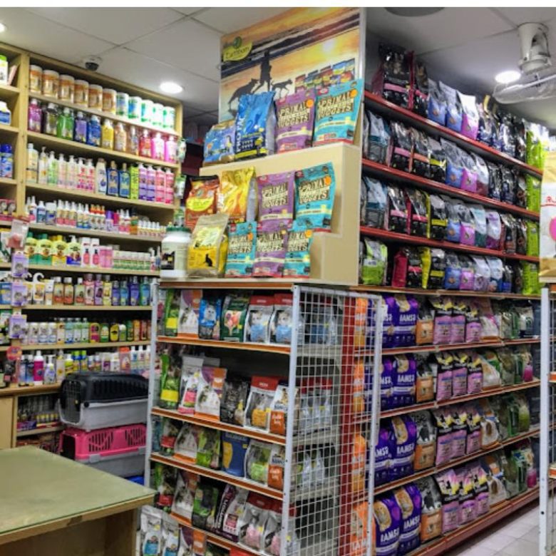 Top 10 Best Pet Shop in Ipoh 2026 | Top rated