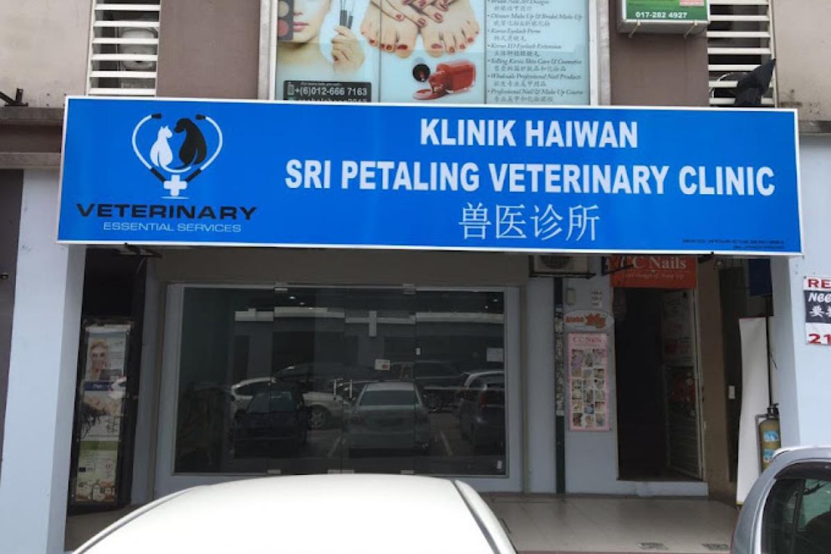 Top 10 Best Pet Clinics in KL & Selangor | Top rated