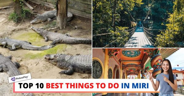 Top 10 Best ATV Rides in Malaysia 2025 | Friends Trip
