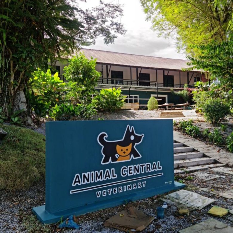 Top 10 Best Veterinary Clinics in Kuching 2025 | Top-rated