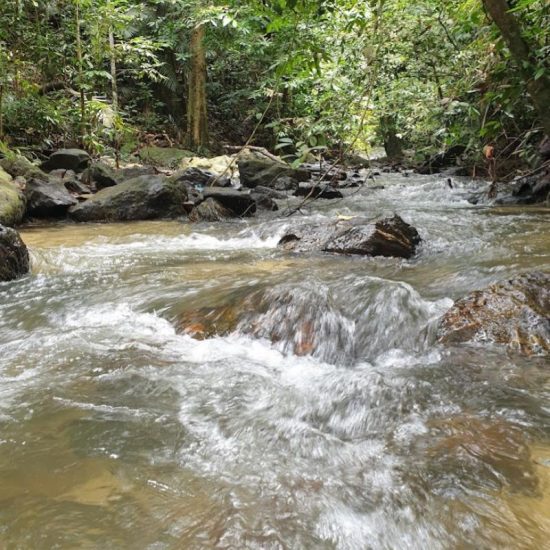 10 Best Things To Do in Rawang 2023 | A Trip To Remember