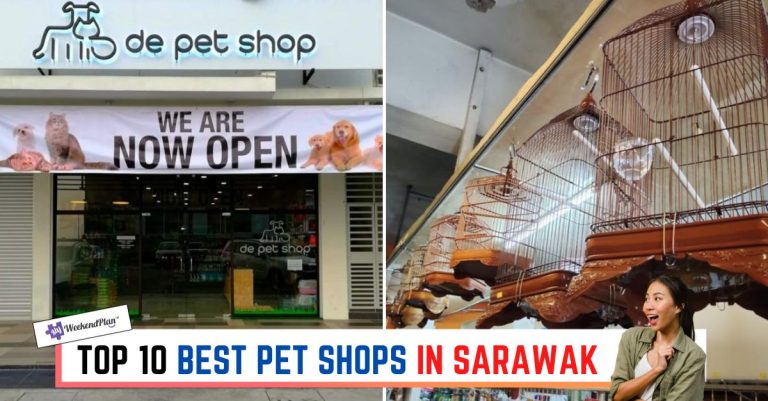 Top 10 Best Pet Shops in Sarawak 2026 | You need this