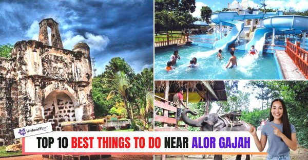 8 Best Things To Do in Janda Baik 2025 | A Weekend Staycation
