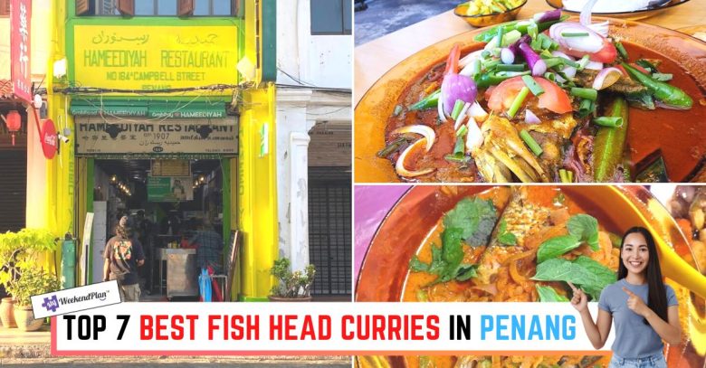 Top 7 Best Fish Head Curries in Penang 2025 | Top rated