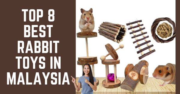 Top 8 Best Rabbit Toys in Malaysia 2025 | Reviewed