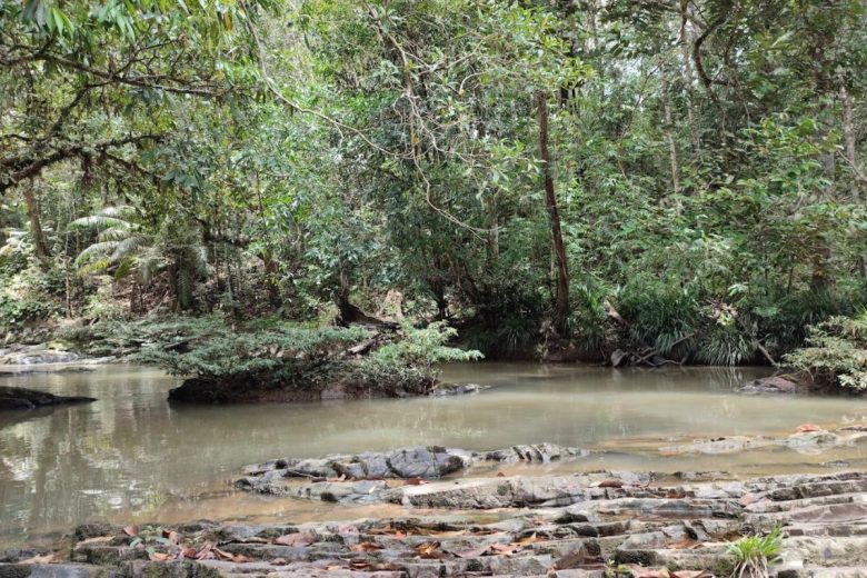 Top 8 Best Things To Do in Betong 2023 | Travel guide 101