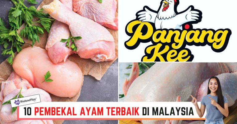 10 Pembekal Ayam Terbaik Di Malaysia 2026 | Terbaik