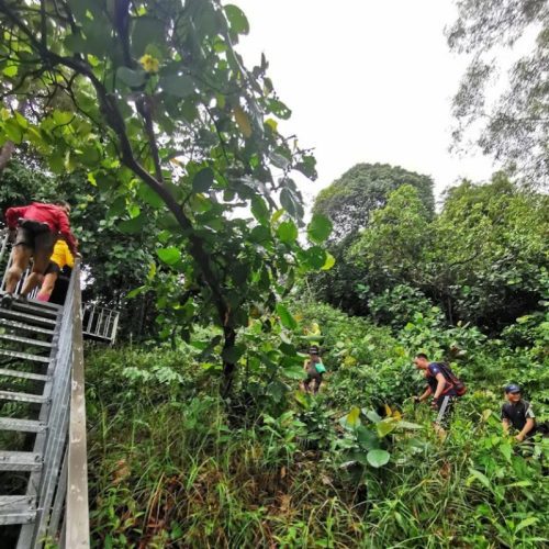 Top 10 Best Places For Hiking Near Cheras 2026 | Scenic Views