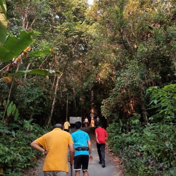 Top 10 Best Places For Hiking in Penang 2025 | SImply Amazing